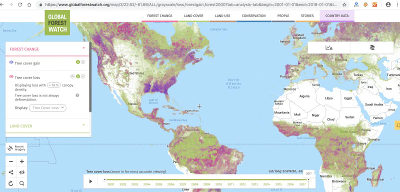 25 Facts About Climate Change & Deforestation – Vermont Woods Studios