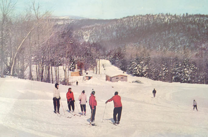 From Lost Ski Area to Showroom for Green Home Decor – Vermont Woods Studios