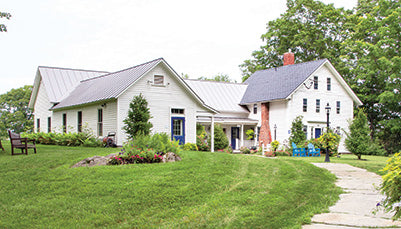 Birch Wood: Color, Grain, & Characteristics - Vermont Woods Studios